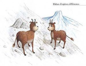La chasse au Dahu – Poussière de Faits